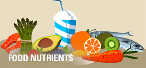 Learn something new today: A fun learning resource for you