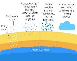 What does Condensation mean in the Water Cycle? – Eschooltoday