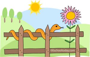 Sunlight is an essential need for living things to survive