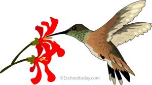 What is food important to the survival of living things? – Eschooltoday