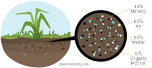 What is soil? What is soil made up of? – Eschooltoday