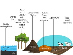 What is a natural resource? – Eschooltoday