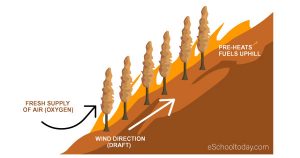 Behavior of wildfires – Eschooltoday