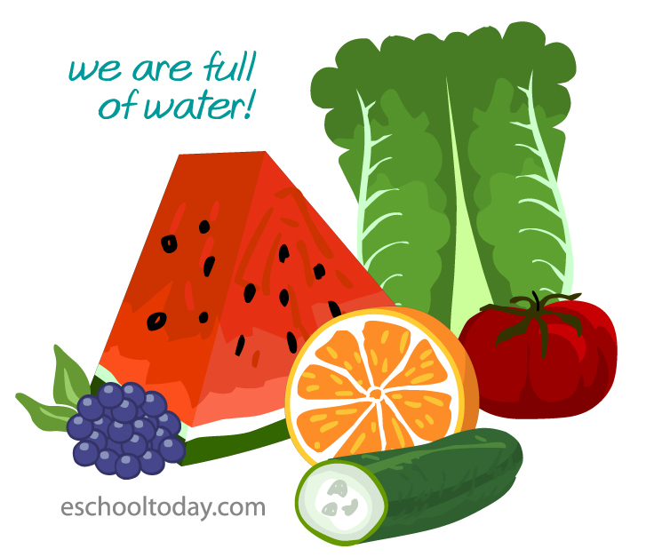 Water – Eschooltoday