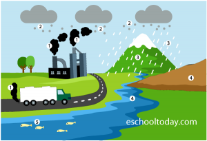 What causes Acid Rain? – Eschooltoday